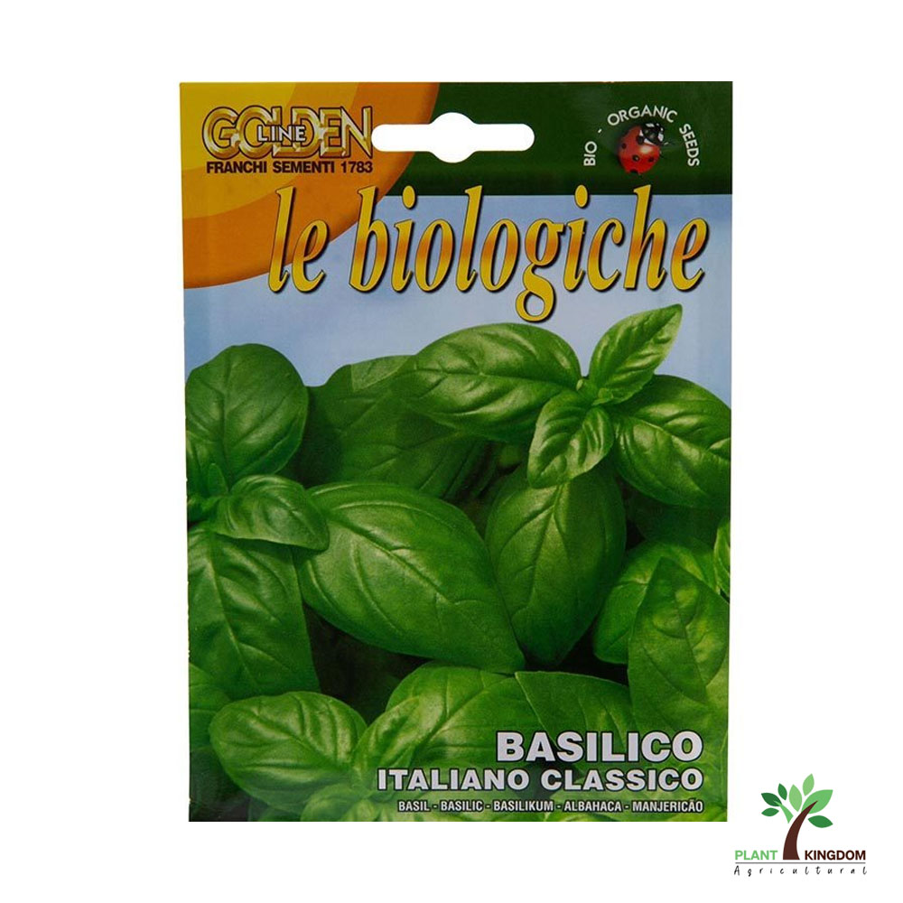 Basilico Italiano Classico by Franchi Sementi - Plant Kingdom UAE